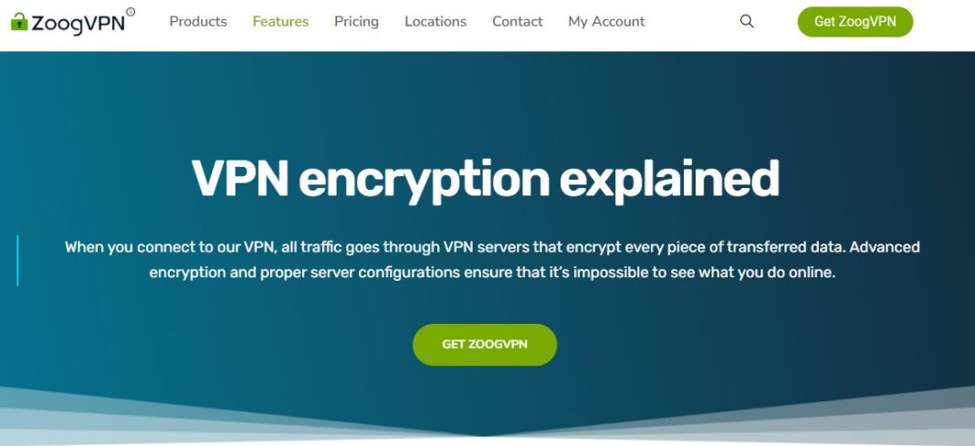 ZoogVPN Review 2026: The Best Budget VPN for Beginners